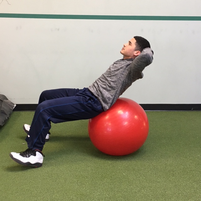 Muscle Madness: Rectus Abdominis | Peak Performance Fitness